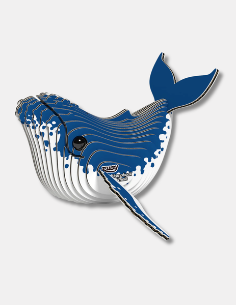 Humpback Whale 3D Cardboard Model Kit – Shop Wellington