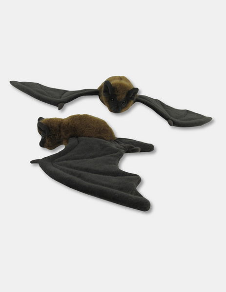 Long Tailed Bat Soft Toy – Shop Wellington