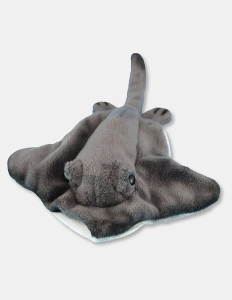 Mini Stingray Soft Toy – Shop Wellington
