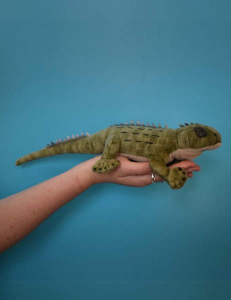Tuatara Soft Toy with Sound by Antics – Shop Wellington