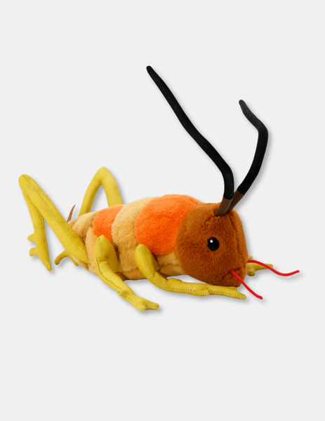 Wiremu the Wētā Soft Toy – Shop Wellington